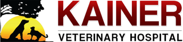 Cold Laser Therapy for Dogs & Cats | Kainer Veterinary Hospital